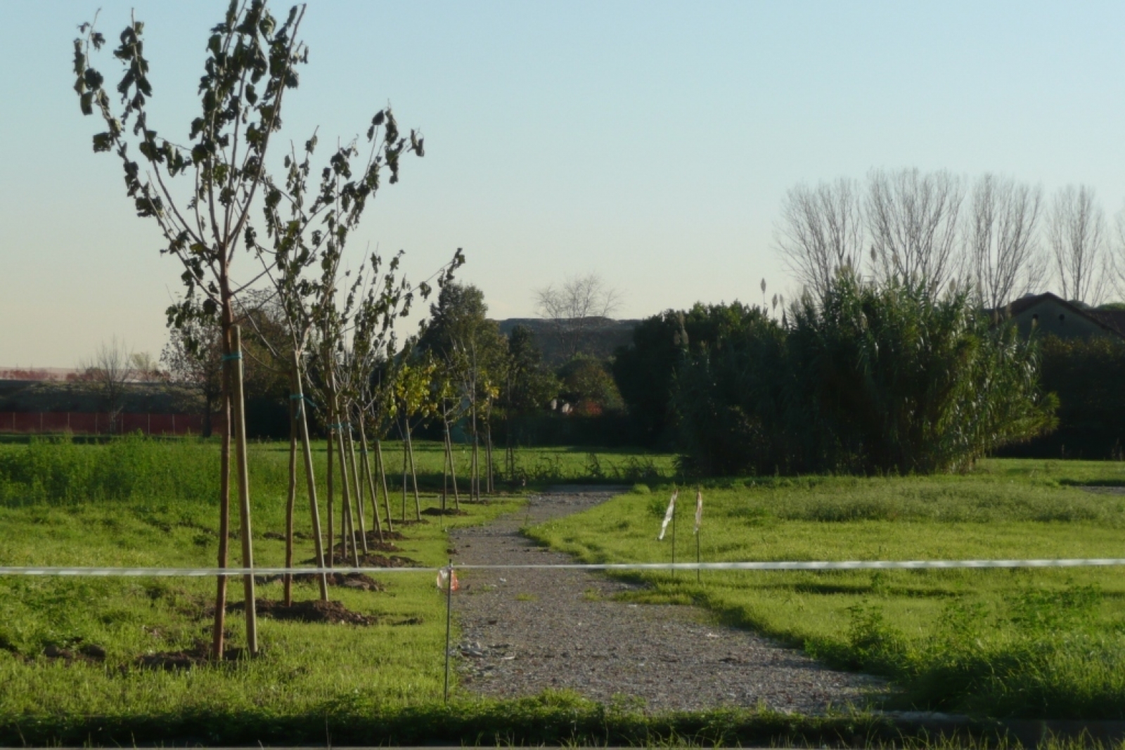 Riqualificazione di un area verde - ET Progetti