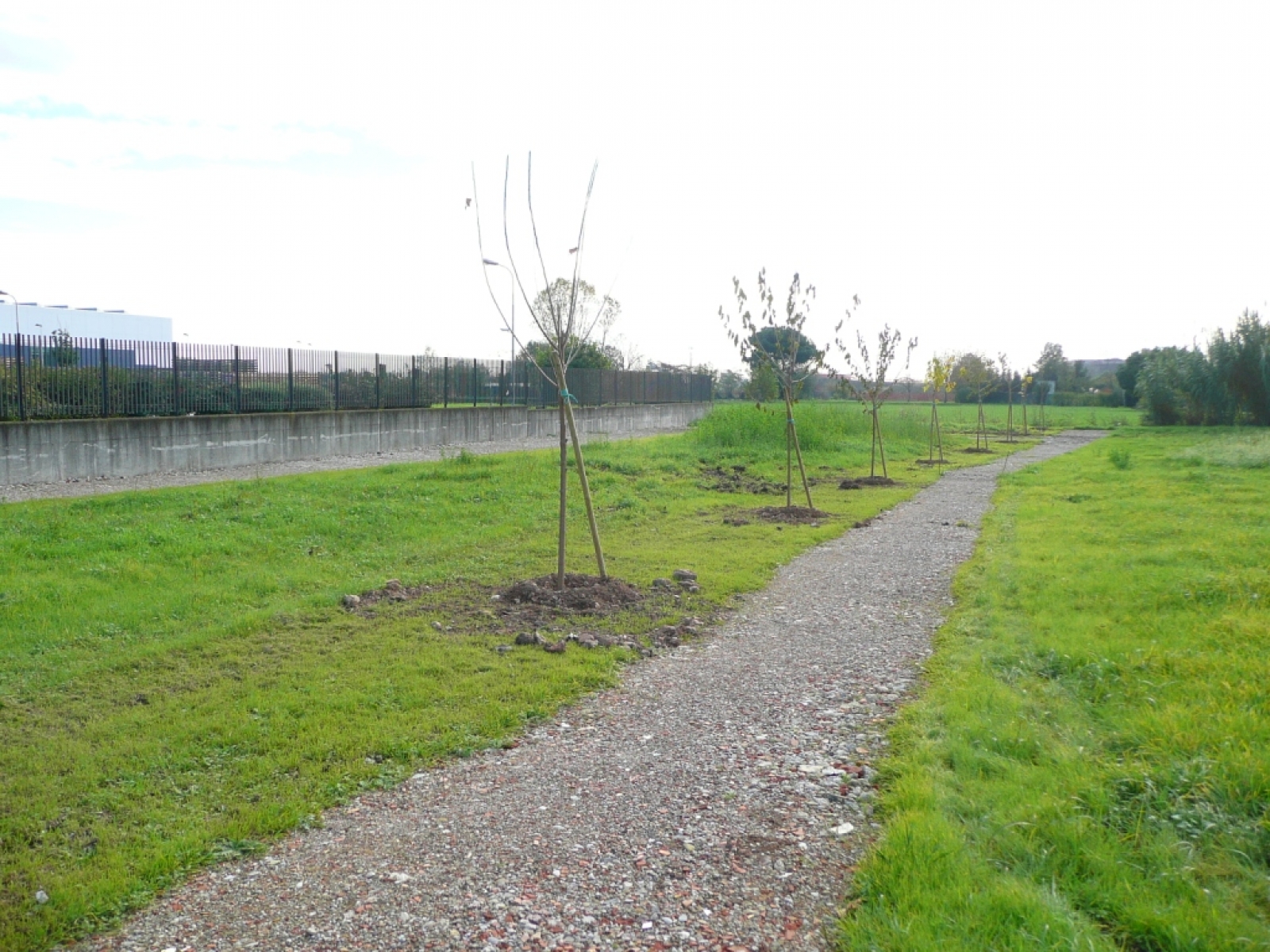 Riqualificazione di un area verde - ET Progetti